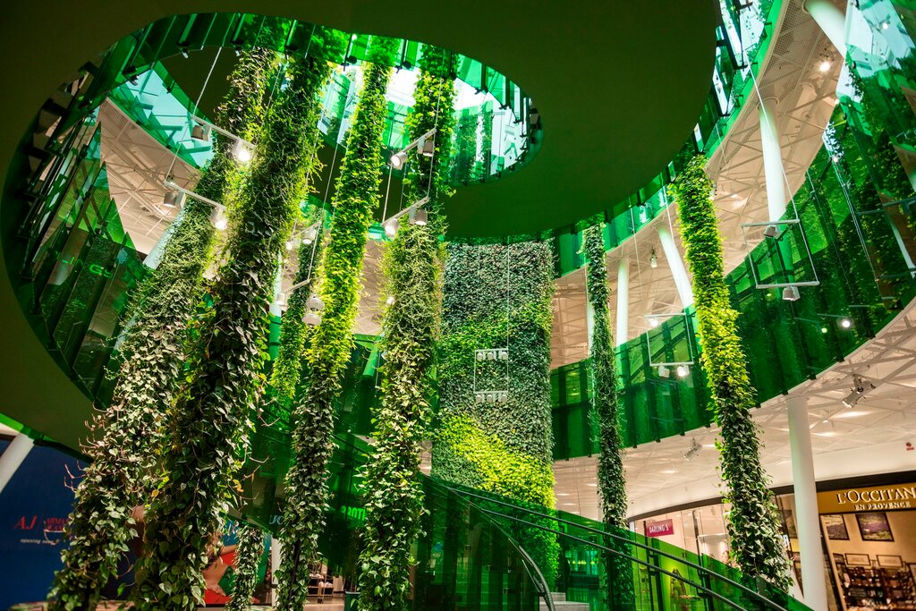 Çevre peyzaj hizmetleri The Green Facade, Rostov‑na‑Donu, foto