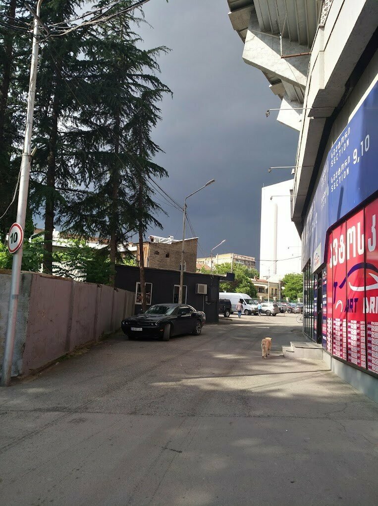 Sürücü kursları არტ დრაივი • Art Drive, Tiflis, foto