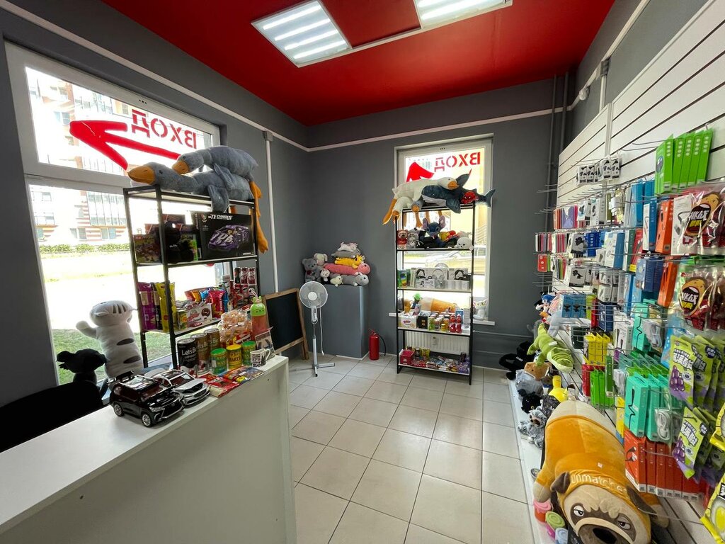 Çocuk oyunları ve oyuncakları Aks and Toys, Saint‑Petersburg, foto
