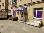 Wildberries (Tukhachevskogo Street No:30/2), teslimat noktası  Stavropol'dan