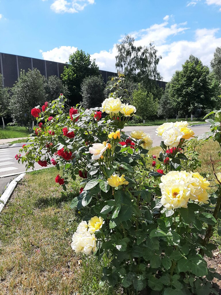 Kimyasal üretim firmaları Garbarny Plant, Minskaya oblastı, foto