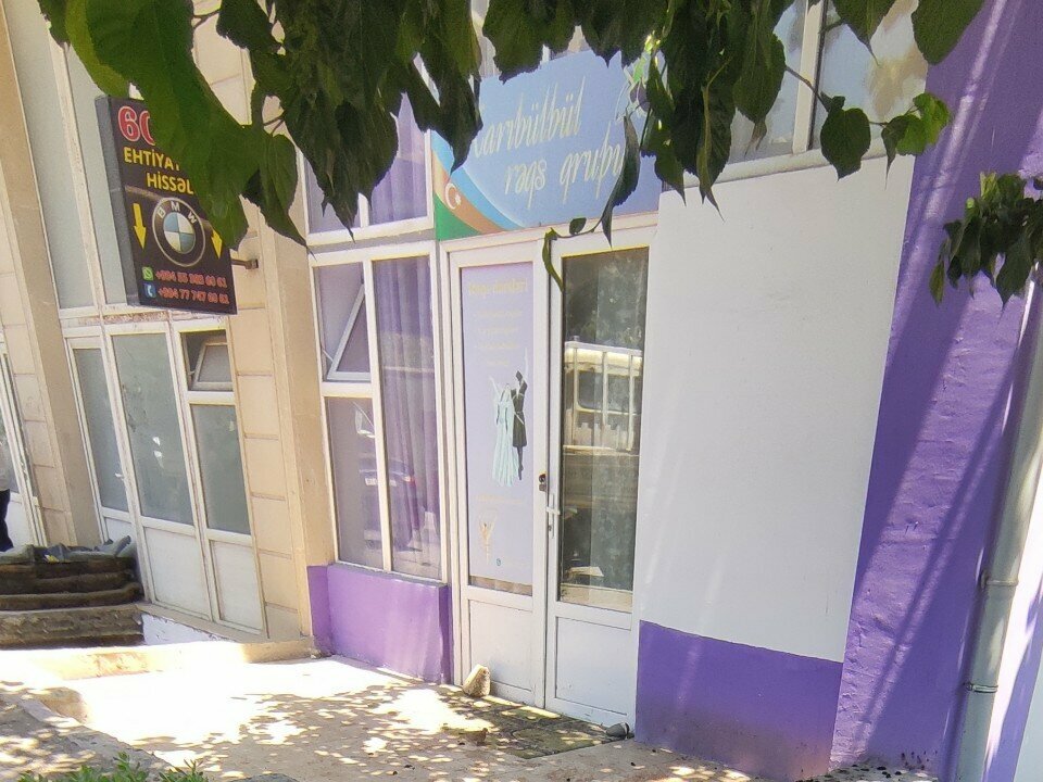 Dans okulları Xarıbülbül rəqs klubu, Bakü, foto