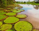 Jungle Experiences Amazon River Cruises (Departamento de Loreto, Provincia de Maynas, Iquitos), turizm acenteleri  Iquitos'tan