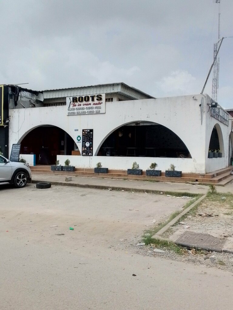Yiyecek buzu Roots Ice Cream, Abican, foto