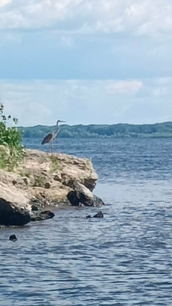 Plaj Пляж, Samarskaya oblastı, foto