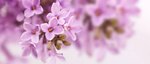 Talya SPA - Wellness & Beauty & Fitness Club (İstanbul, Ataşehir, Atatürk Mah., Yakut Cad., 10), spa  İstanbul'dan