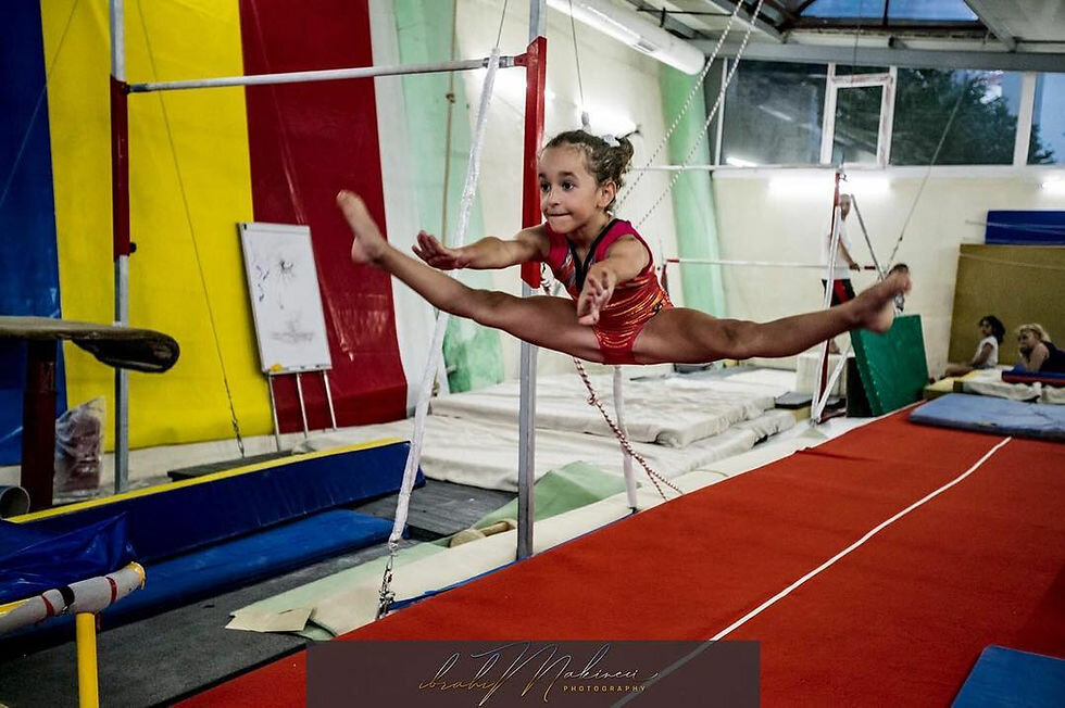 Spor tesisi Sancak Jimnastik Salonu, İstanbul, foto
