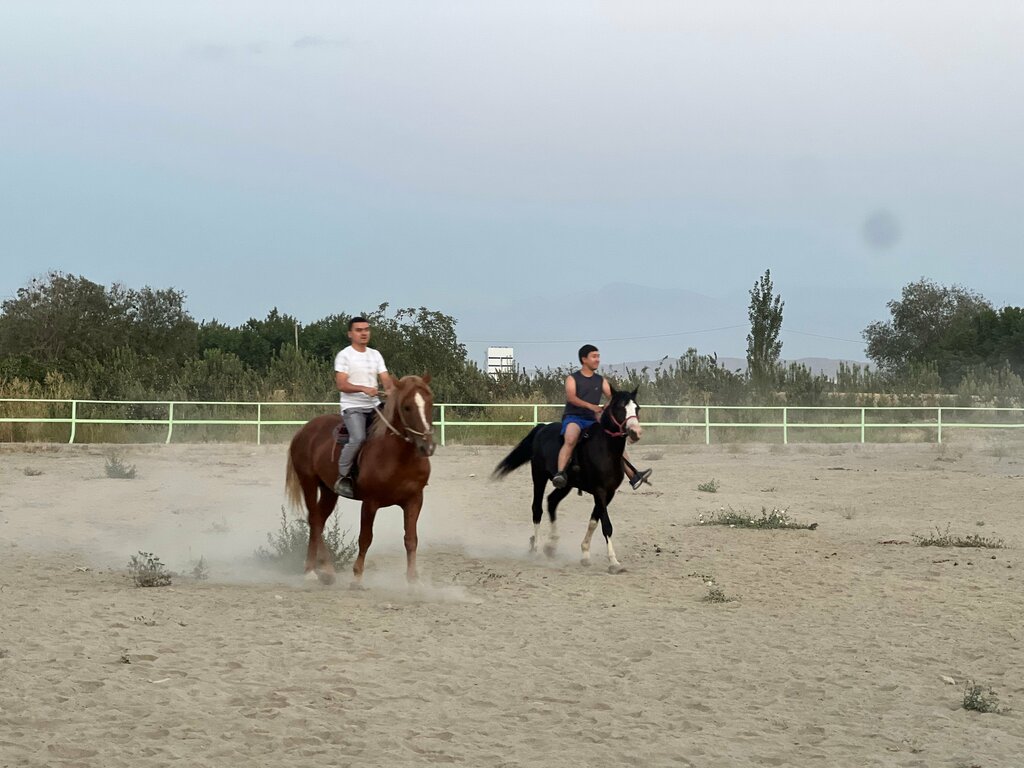 At ve binicilik kulüpleri Turon Tulporlari, , foto