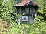 Kestane Balı Borçka (Artvin, Borçka, Güreşen Köyü), bal ve arıcılık firmaları  Borçka'dan