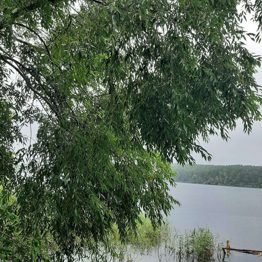 i̇skele Jetty , Çebarkul, foto