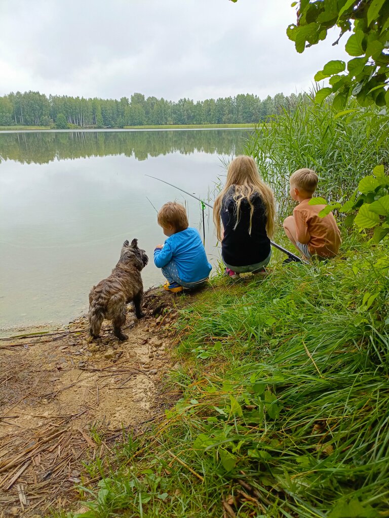 Plaj Пляж, Nijegorodskaya oblastı, foto