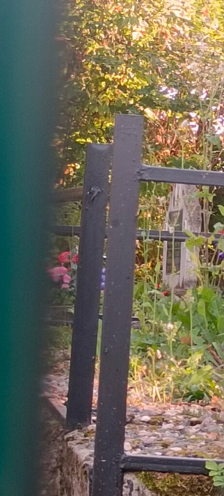 Mezarlıklar Еврейское кладбище, Vishniy Volochek, foto