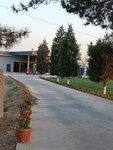 Black Gold Energy (Tashkent Region, Yangiyul District), benzin istasyonu  Taşkent eyaletinden