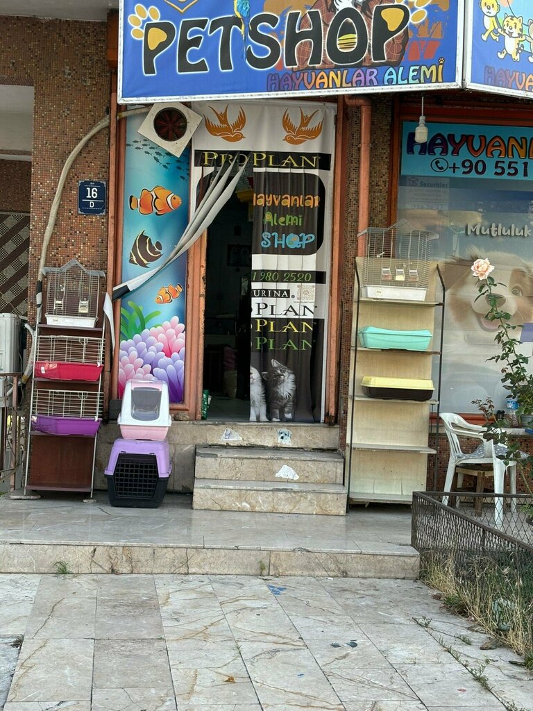Petshop Hayvanlar Alemi Petshop Keçiören, Ankara, foto