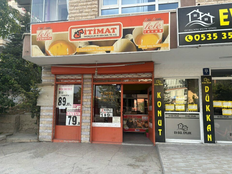 Kanatlı hayvan ürünleri ve yumurta Lele Yumurta, Ankara, foto