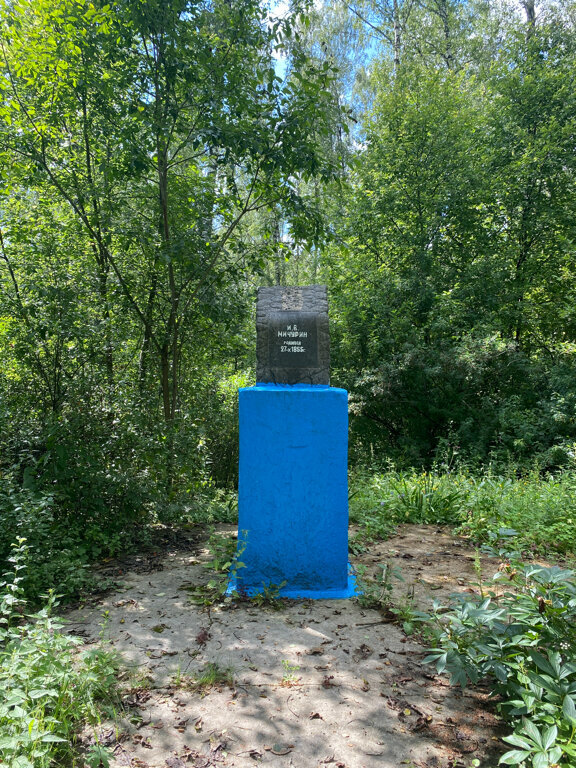 Unutulmaz olayların yeri Место рождения И.В. Мичурина, Riazanskaya oblastı, foto