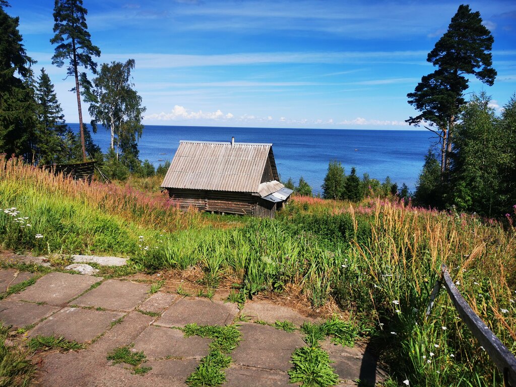 Orman işleri Егерь, Saint‑Petersburg ve Leningradskaya oblastı, foto