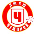 Чемпион (Bolshaya Moskovskaya Street No:126к3), spor okulları  Velikiy Novgorod'dan