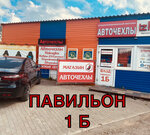 Avtochekhly (Moskovskaya Street No:102В), otomobil yedek parçaları  Kirov'dan
