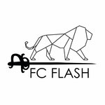 Flash (Konyukhova Street No:21с2, Krasniy Posyolok Village), spor kulüpleri  Moskova ve Moskovskaya oblastından