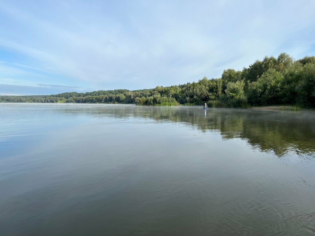 Plaj Пляж, Moskova ve Moskovskaya oblastı, foto