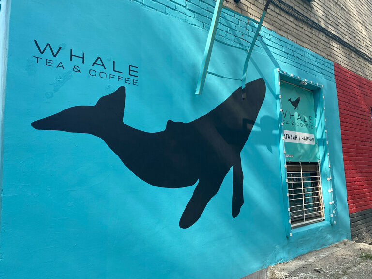 Çay mağazaları Whale Tea & Coffee, Novosibirsk, foto