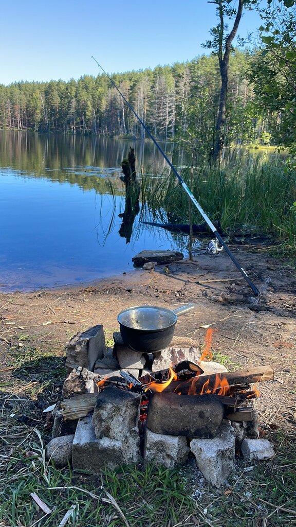 Piknik alanı Место для пикника, Saint‑Petersburg ve Leningradskaya oblastı, foto