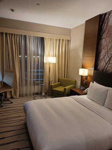 Otel DoubleTree by Hilton Moscow - Vnukovo Airport, Moskova, foto