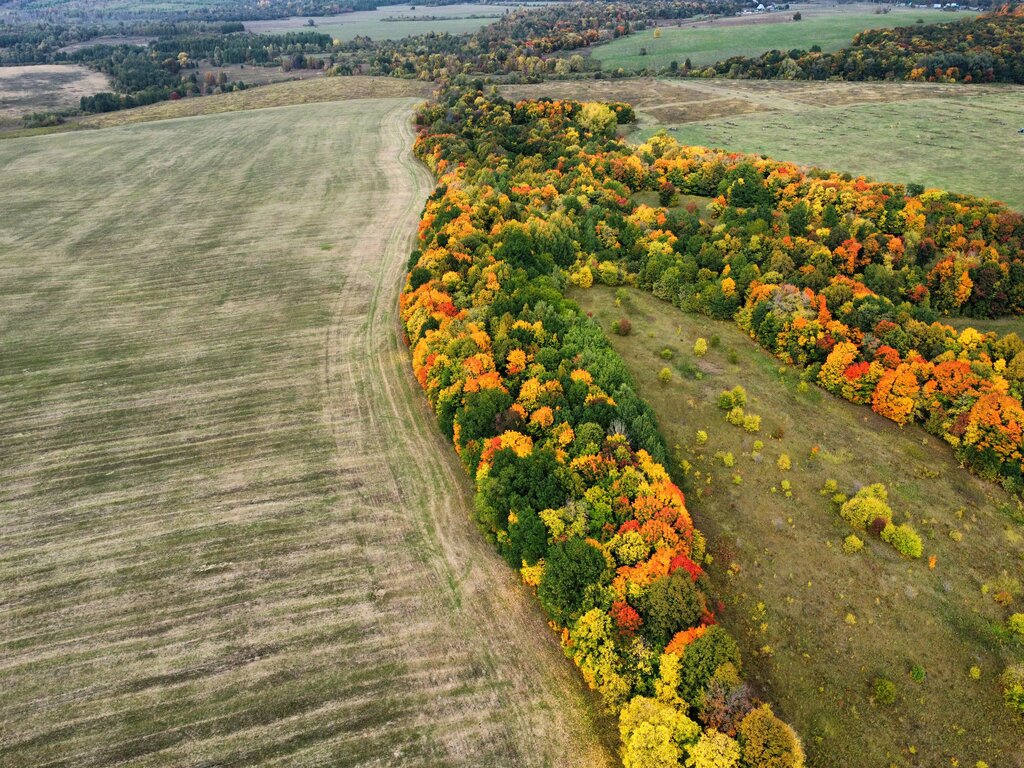 Dağ zirvesi Гора Татырли, Başkurdistan, foto