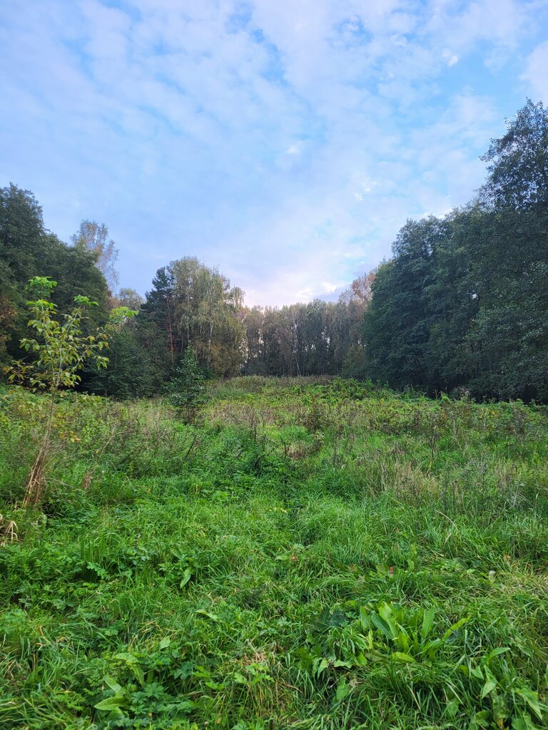 Unutulmaz olayların yeri Пущинское городище, Puşçino, foto