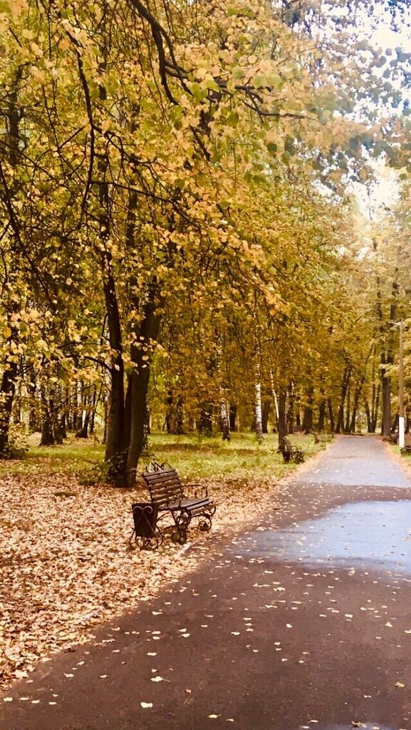 Atraksiyon Gorodskoy park kultury i otdykha, Volzhsk, foto
