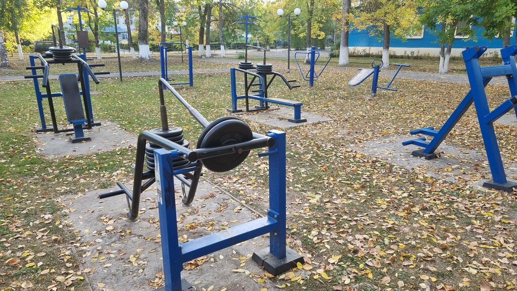 Spor alanı Уличные тренажёры, Vladimirskaya oblastı, foto