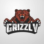 Grizzly (Batyrshina Street No:29А), spor kulüpleri  Kazan'dan