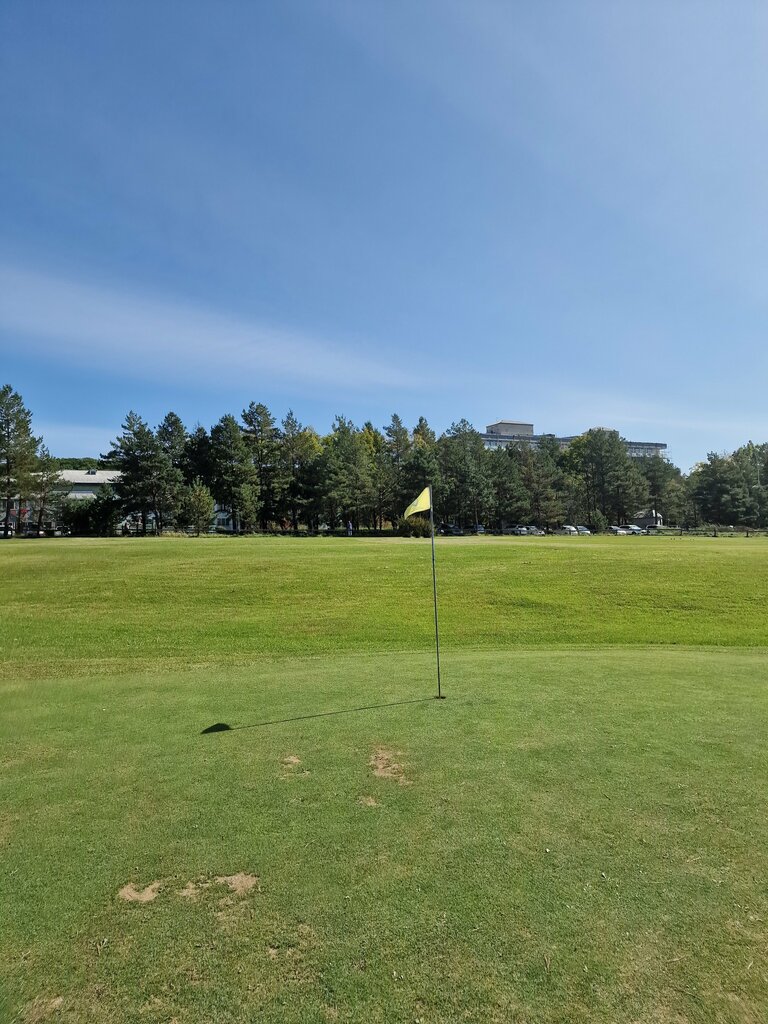 Golf kulüpleri Поле для гольфа, Primoriye, foto