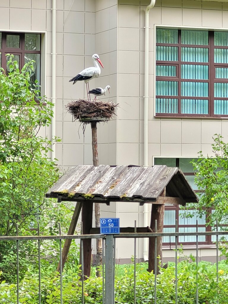 Park, sokak heykeli Аисты и колодец, Zelenogorsk, foto