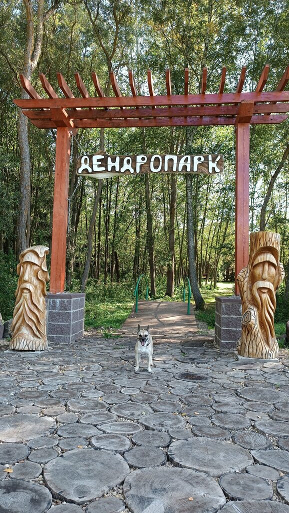 Kültür ve eğlence parkları Дендропарк, Vitebskaya oblastı, foto