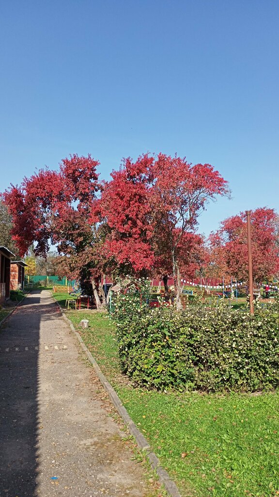 Anaokulları Детский сад Золотой петушок, Kalujskaya oblastı, foto