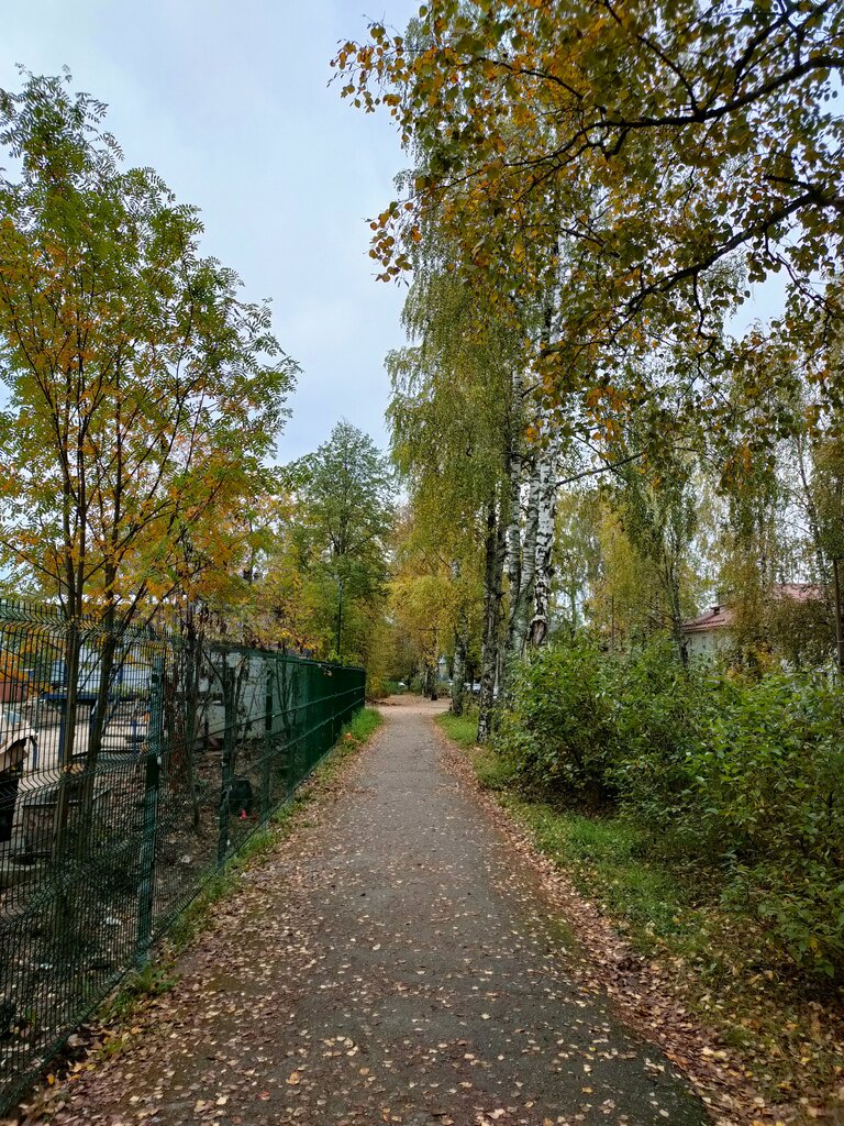 Kültür ve eğlence parkları Кленовая аллея, Medvezhyegorsk, foto