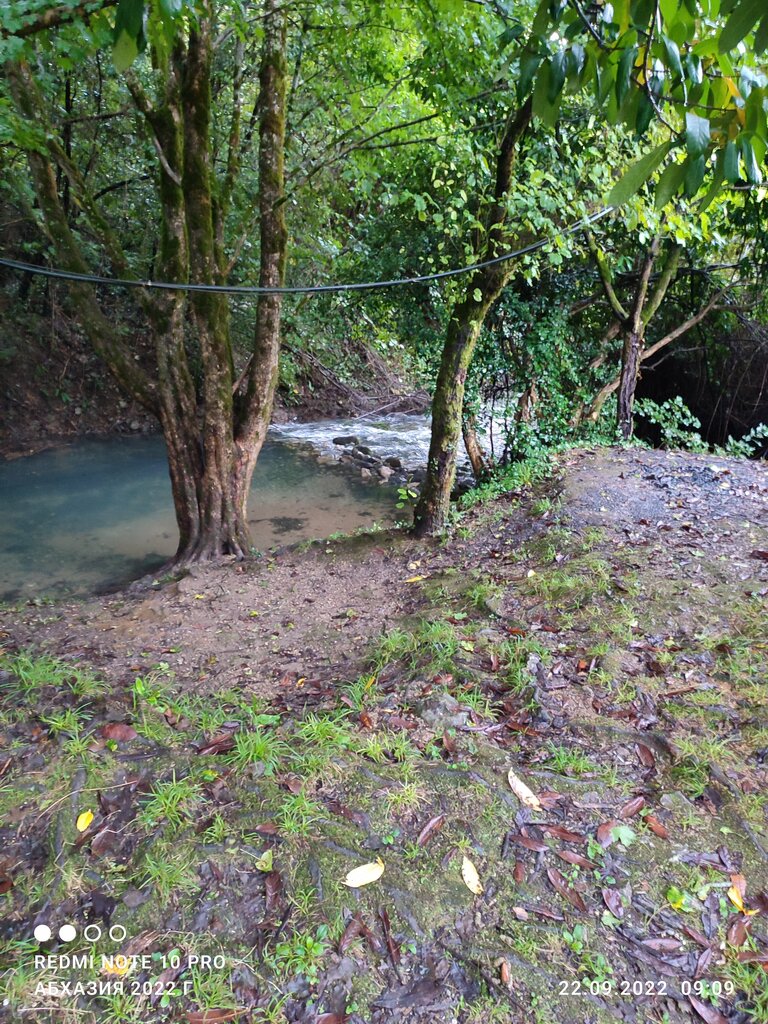 Pınar, çay Spring, stream, Gagra, foto