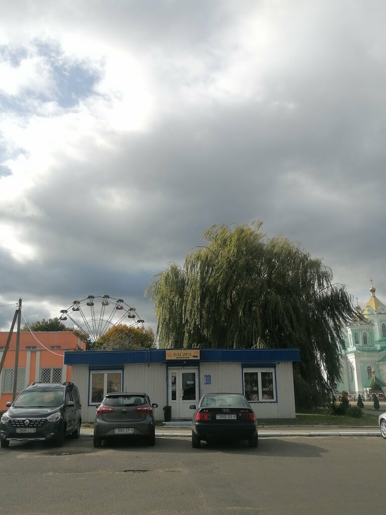 Çiçekçiler Цветы, Mogiliovskaya oblastı, foto