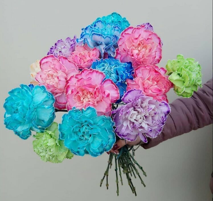 Çiçekçiler Нимфа, Çeliabinsk, foto