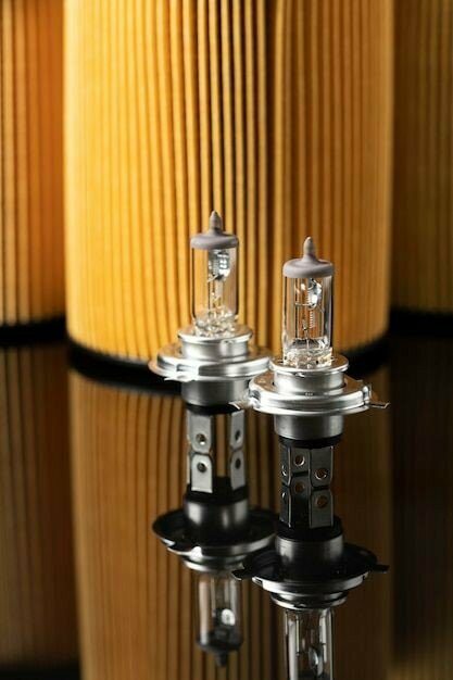 Otomobil servisi Zheltyye Vorota, Habarovsk, foto