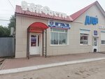 Автозапчасти (ulitsa Spartaka No:1Г, selo Varna), otomobil yedek parçaları  Çeliabinskaya oblastından