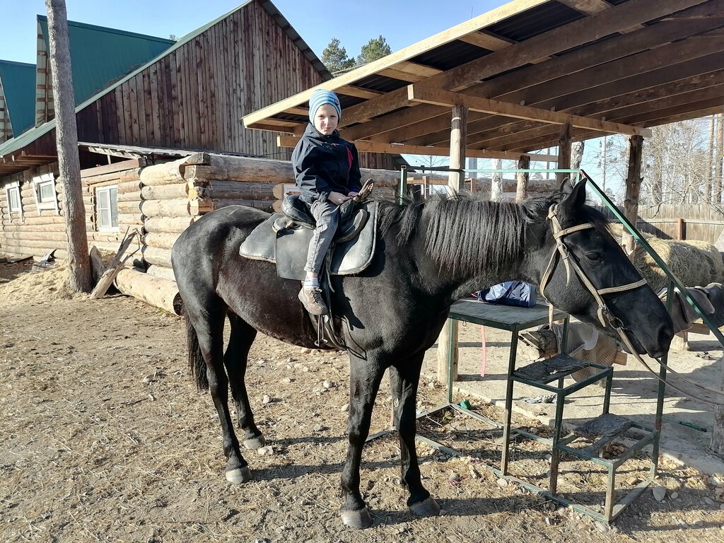 At ve binicilik kulüpleri Битва, İrkutskaya oblastı, foto