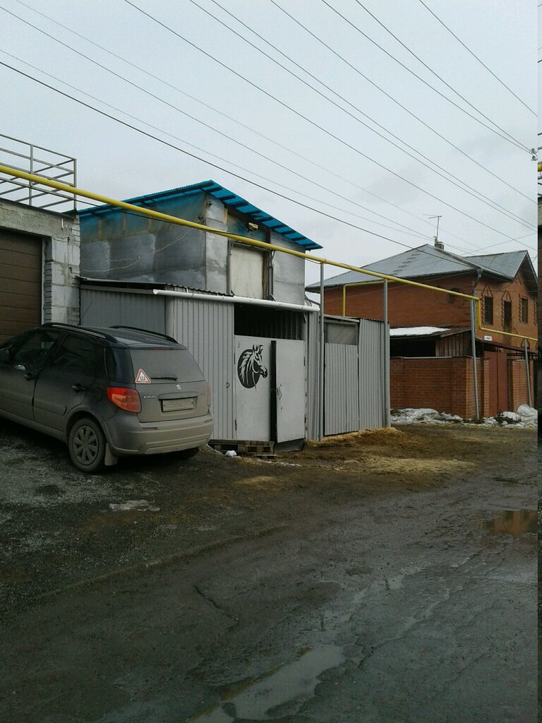 At ve binicilik kulüpleri Konny klub Faktor, Yekaterinburg, foto