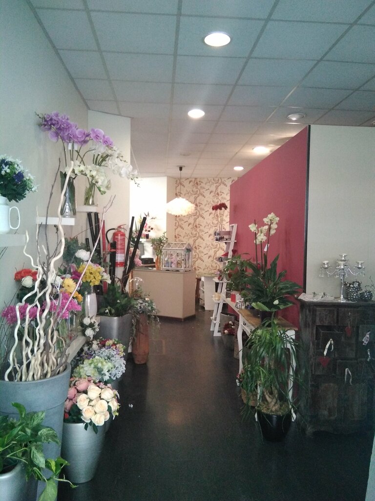 Çiçek teslimatı Floristería Zinnia, A Coruña, foto