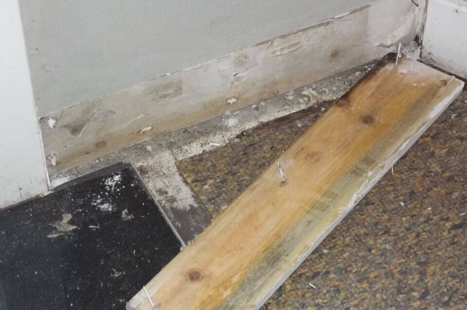 i̇nşaat tedarik firmaları Mold Experts Of Michigan, Auburn Hills, foto