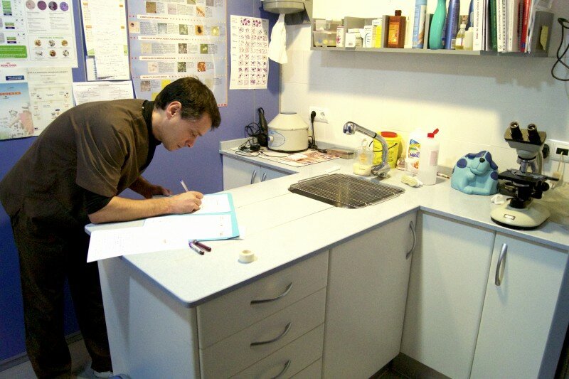 Veteriner klinikleri Clínica Veterinària Les Bóbiles, Katalonya, foto