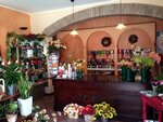 L'Angolo dei Fiori (Via Giacomo Matteotti No:36, Bagnacavallo), çiçek teslimatı  Emilia‑Romagna'dan