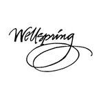 Wellspring Substance Abuse and Mental Health Services (United States, Bangor, 253 Hammond St,, # 255), madde bağımlılığı tedavi merkezi  Bangor'dan